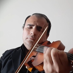Partes del violín - TutorialesDeViolin.Com